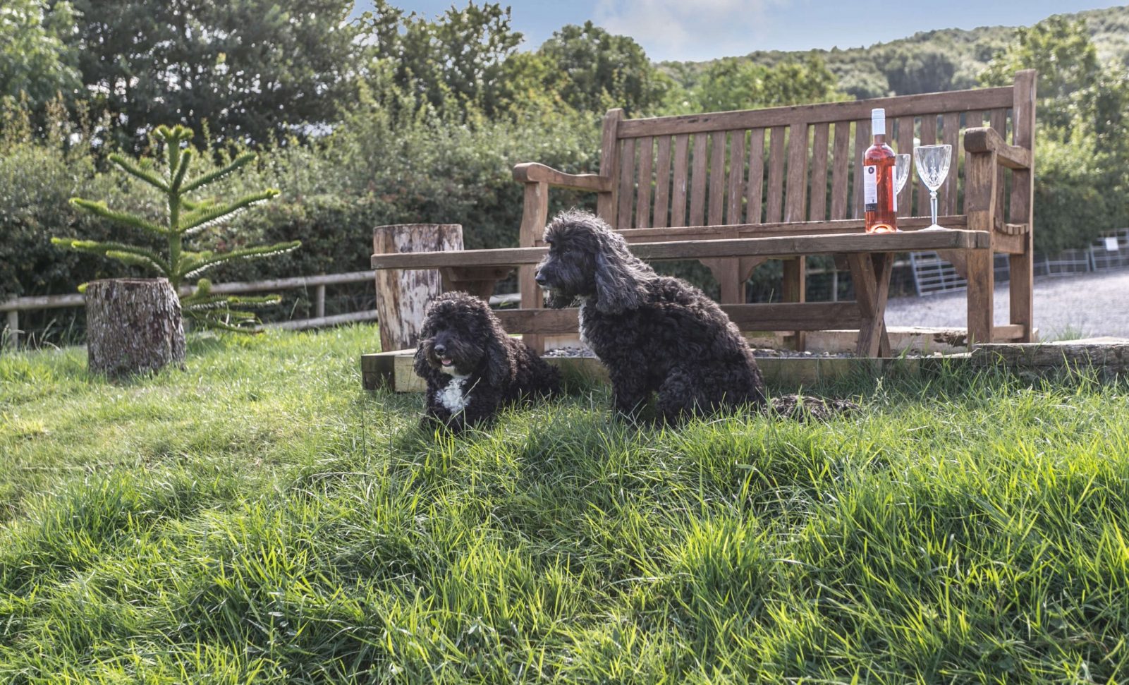 Scrumpy Cottage | Home Farm Cottages | Cheddar Somerset