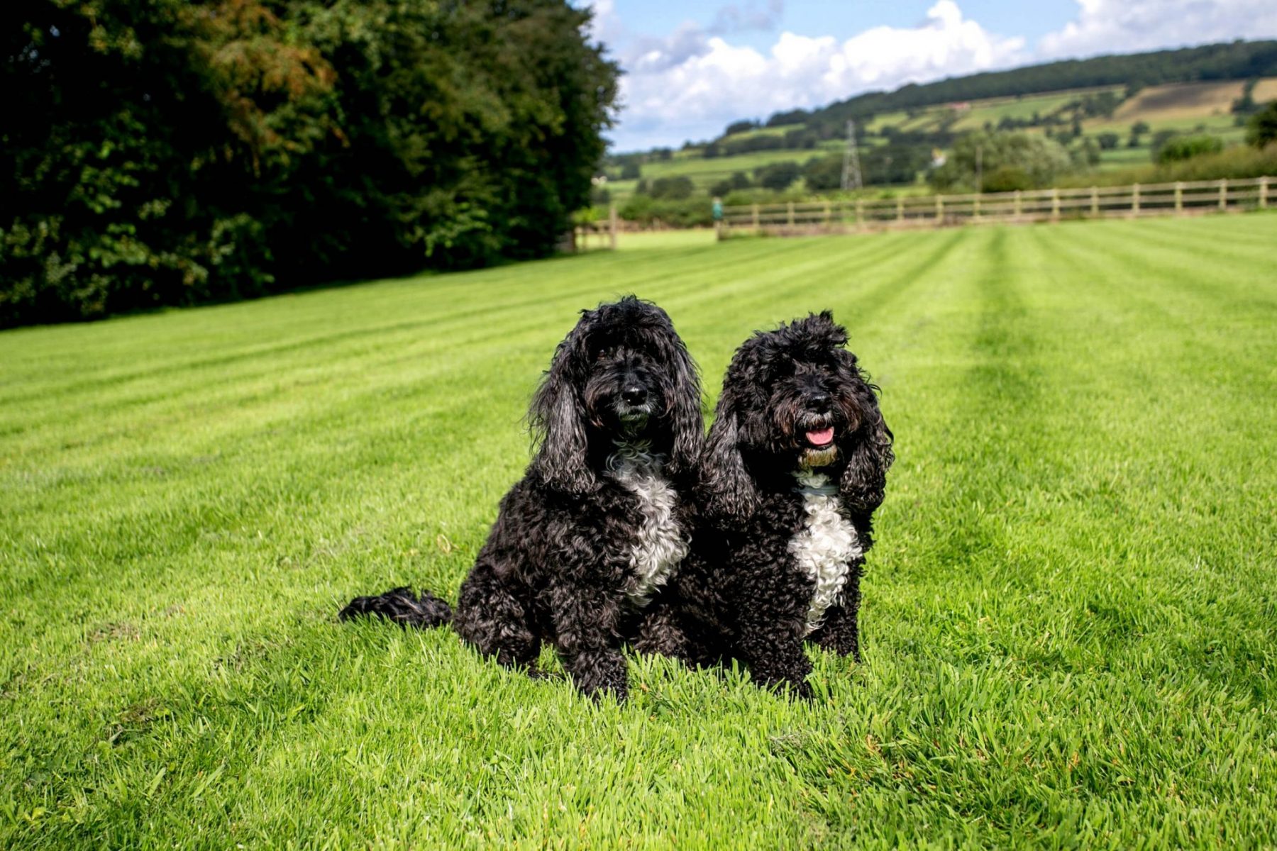 Scrumpy Cottage | Home Farm Cottages | Cheddar Somerset